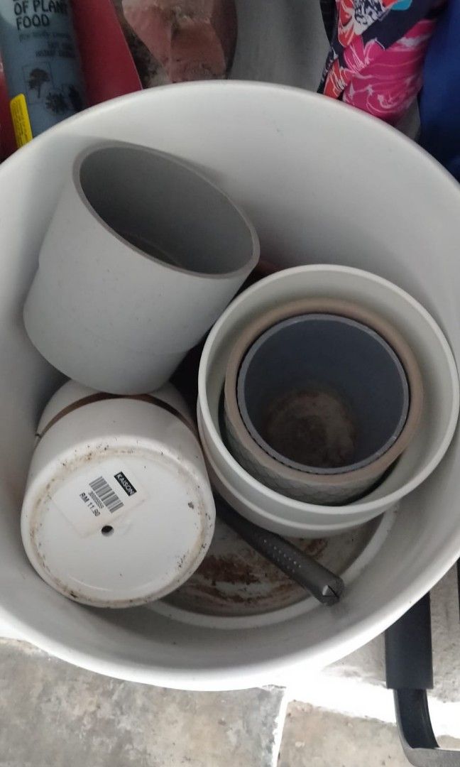 Used Pots for Various size plants, Furniture & Home Living, Gardening ...