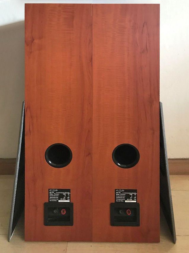 Accusound OM-700 Floorstanding Speaker (1 pair), Audio, Soundbars ...