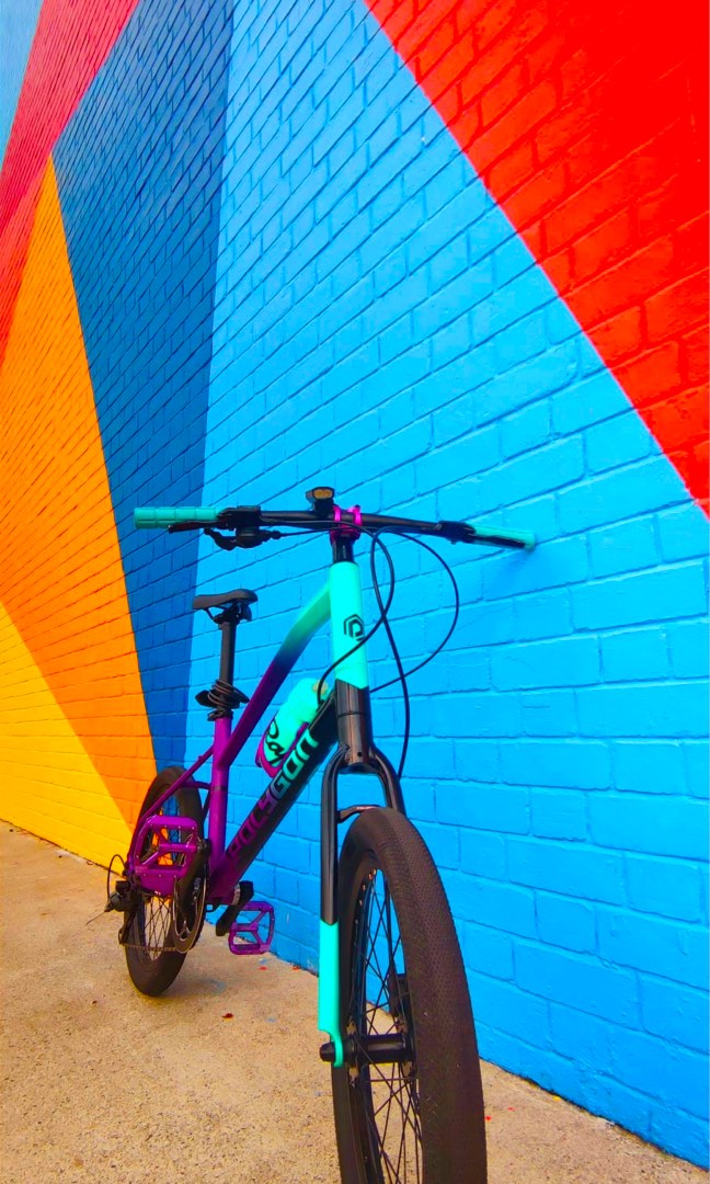 Beauty of Polygon Zeta 2 Mini Velo, Sports Equipment, Bicycles & Parts ...