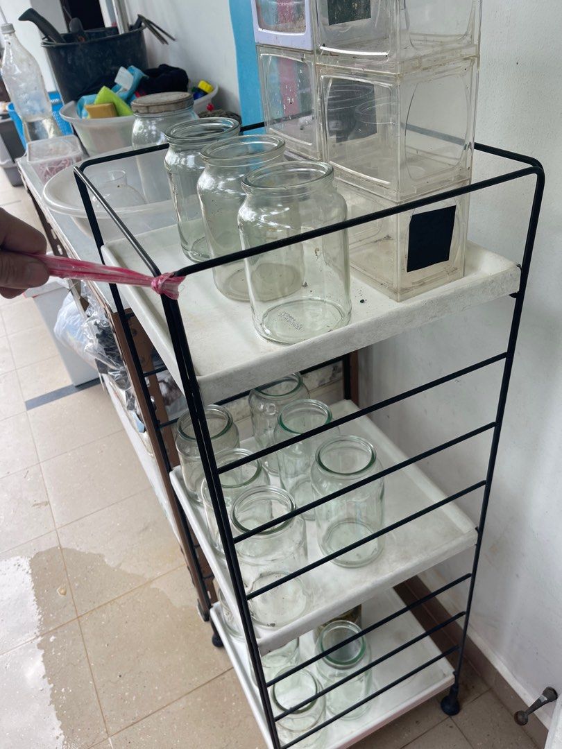 Betta rack and container set, Pet Supplies, Homes & Other Pet ...