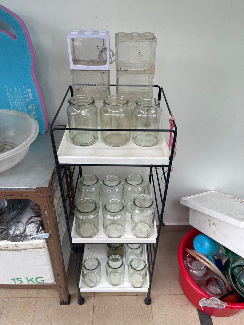 Betta rack and container set, Pet Supplies, Homes & Other Pet ...