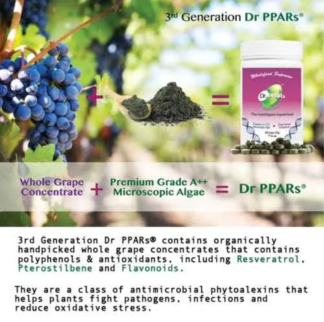 Dr Ppar, Health & Nutrition, Health Supplements, Vitamins & Supplements ...