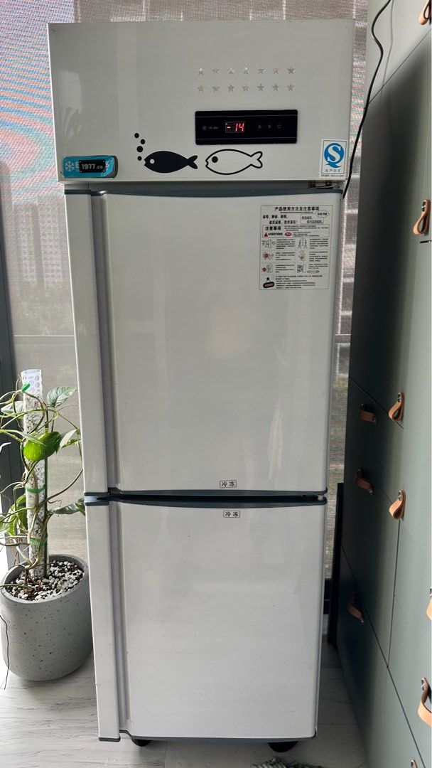 Eskimo commercial static freezer, TV & Home Appliances, Kitchen ...