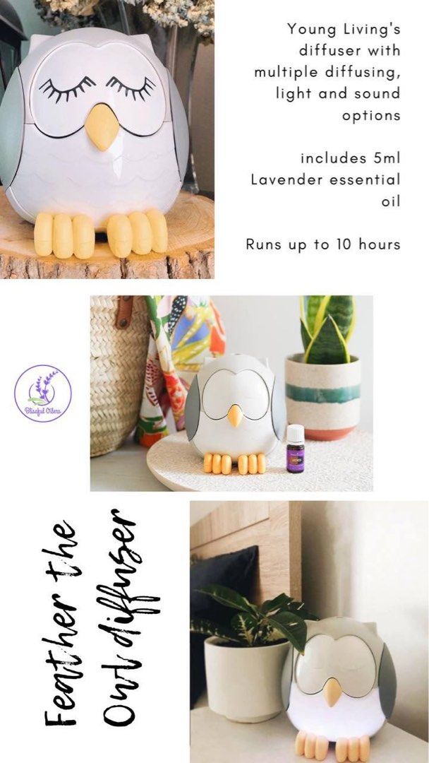 Feather The Owl Diffuser & Desert Mist Diffuser, Furniture & Home ...