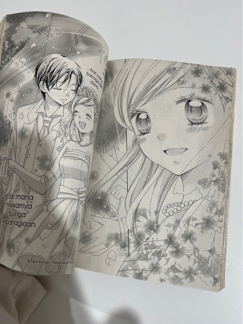 Gempak Starz - Bunga bunga Perkahwinan, Hobbies & Toys, Books ...