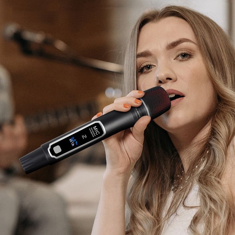 [iDS] Professional UHF Wireless Microphone Rechargeable Battery 18650 ...