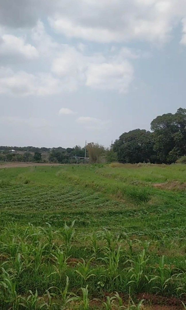 Lot for Sale: Sapang Dayap, San Ildefonso, Bulacan, Property, For Sale ...