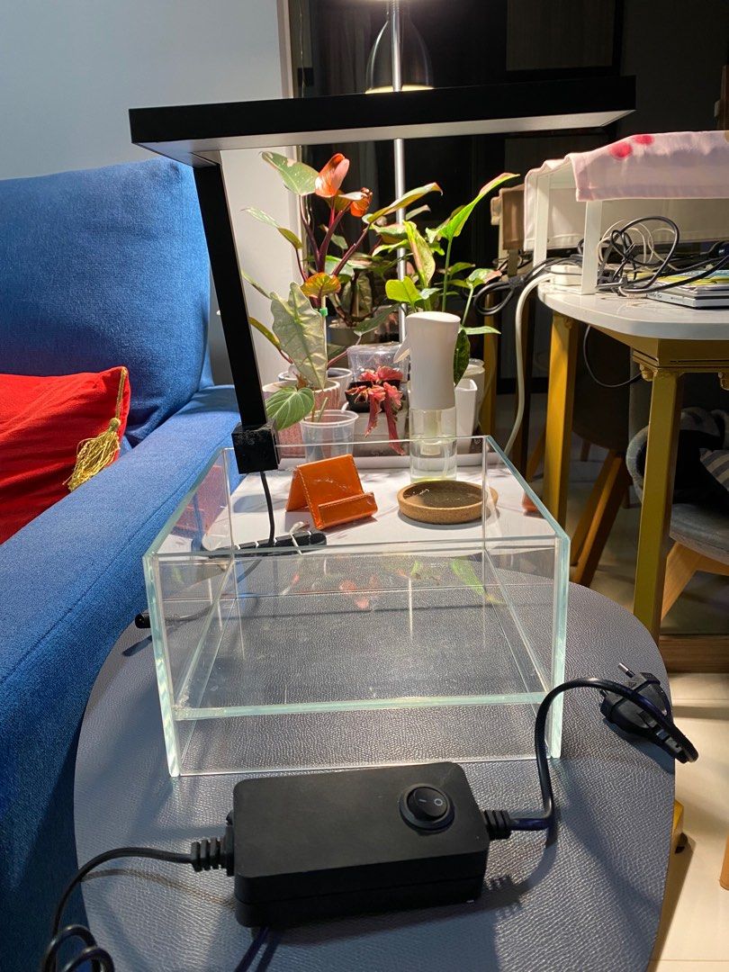 Low profile Fish tank with TCFM led lamp , Everything Else on Carousell