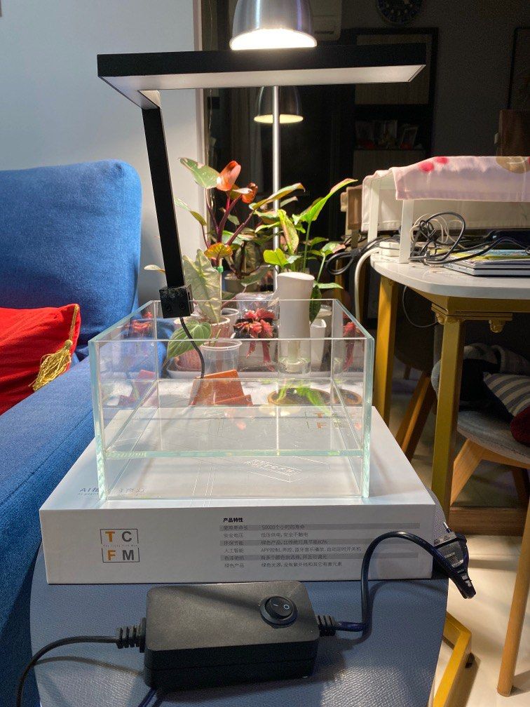 Low profile Fish tank with TCFM led lamp , Everything Else on Carousell