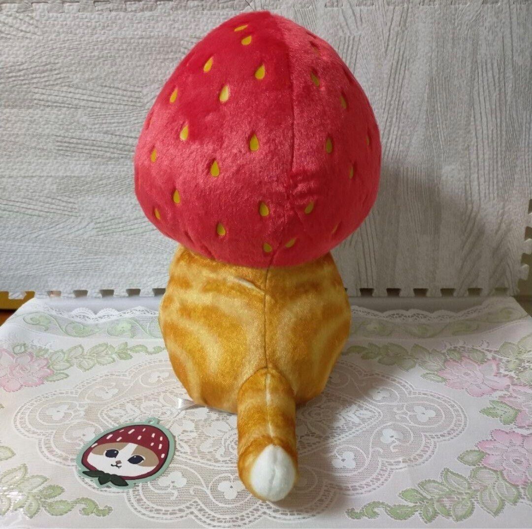 MOFUSAND STRAWBERRY HEAD FRUIT NYAN BIG PLUSH CAT, Hobbies & Toys, Toys & Games on Carousell