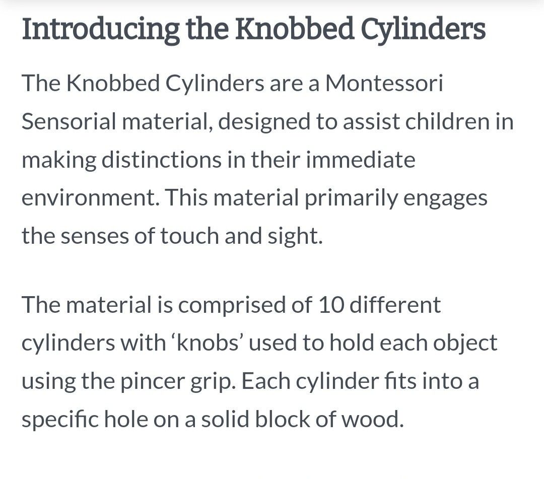 Montessori Wooden Knobbed Cylinders Block Set, Hobbies & Toys, Toys ...