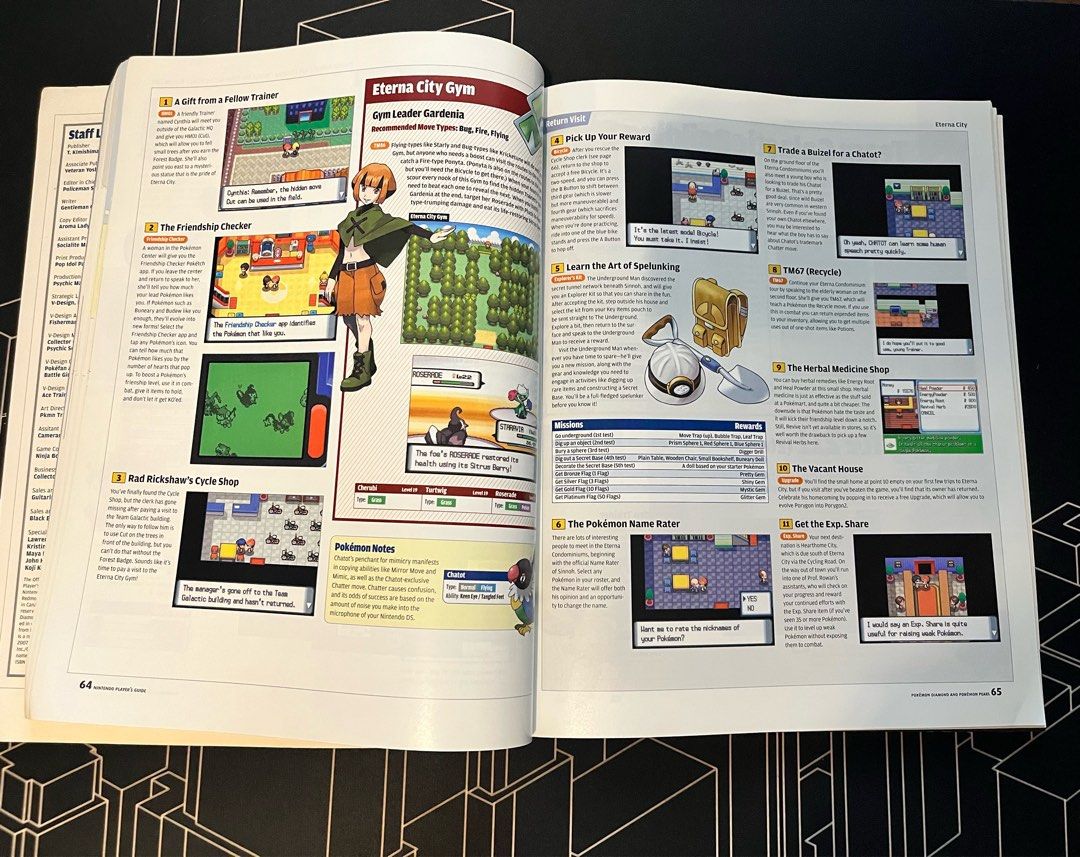 Pokemon Diamond & Pearl Player's Guide (manual), Video Gaming, Video ...