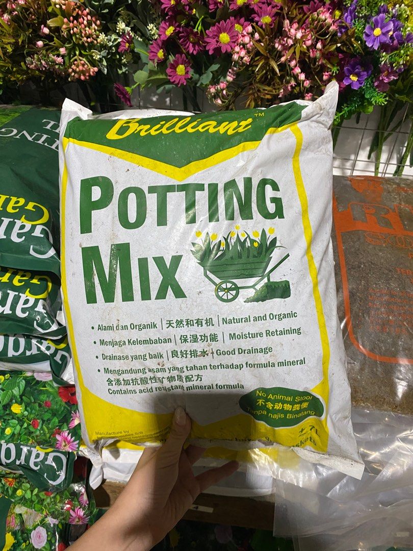 Special Adenium Potting Mix/ Potting Mix Media/ Brilliant Potting Mix ...