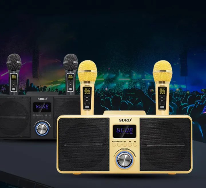 SDRD 309 Family Bluetooth speaker karaoke with dual mic, Audio, Soundbars, Speakers & Amplifiers ...