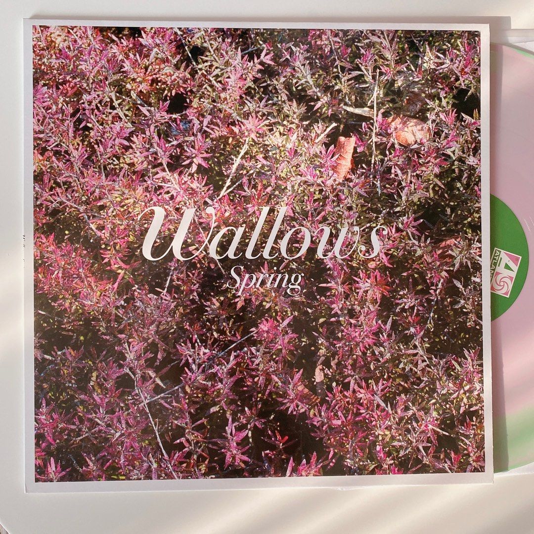 Wallows - Spring Vinyl, Hobbies & Toys, Music & Media, Vinyls on Carousell