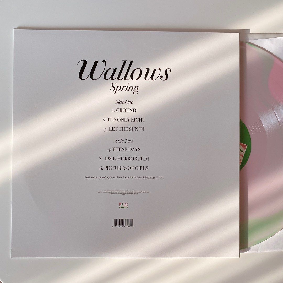 Wallows - Spring Vinyl, Hobbies & Toys, Music & Media, Vinyls on Carousell