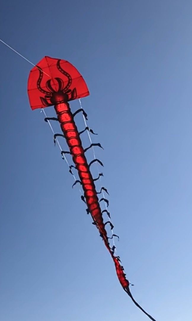 15 Meters long Centipede Shape Kite, Sports Equipment, Sports & Games ...