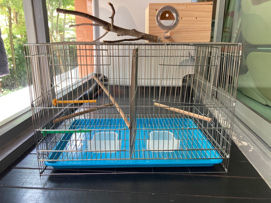 Bird cage , Pet Supplies, Homes & Other Pet Accessories on Carousell