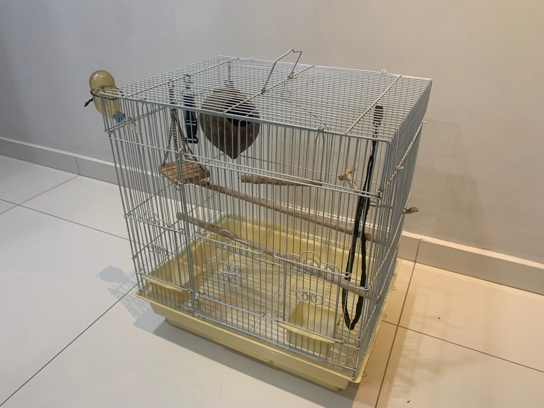 Bird cage, Pet Supplies, Homes & Other Pet Accessories on Carousell