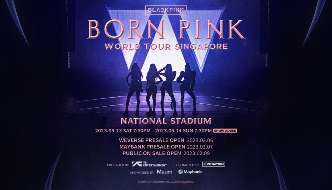 Blackpink Concert Born Pink Day 2, Tickets & Vouchers, Event Tickets on ...