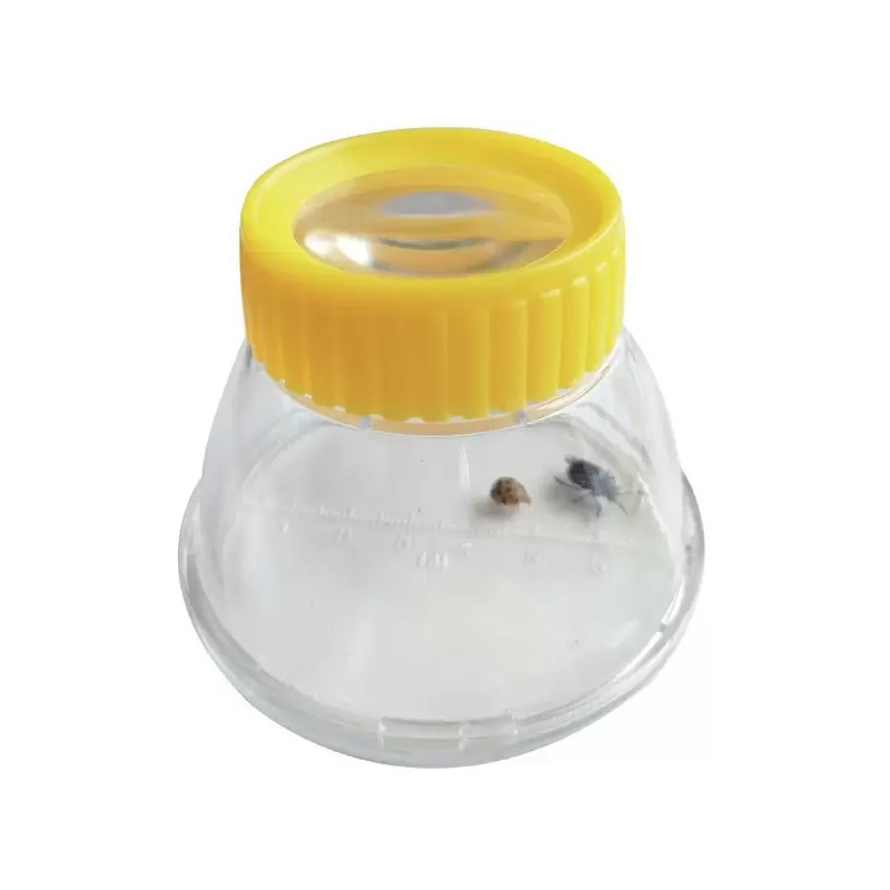 Bug Viewer, Hobbies & Toys, Stationery & Craft, Stationery & School ...