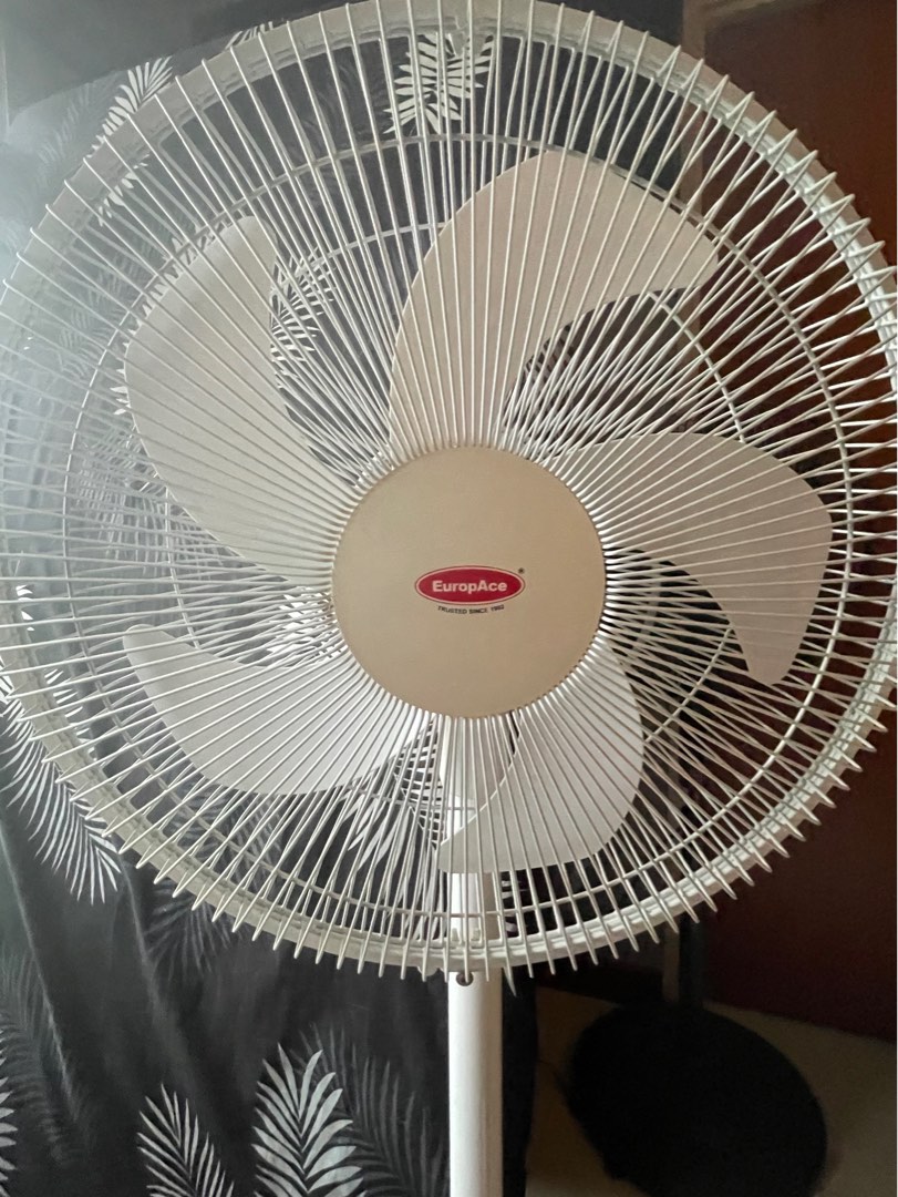 EuropAce standing fan, Furniture & Home Living, Lighting & Fans, Fans ...