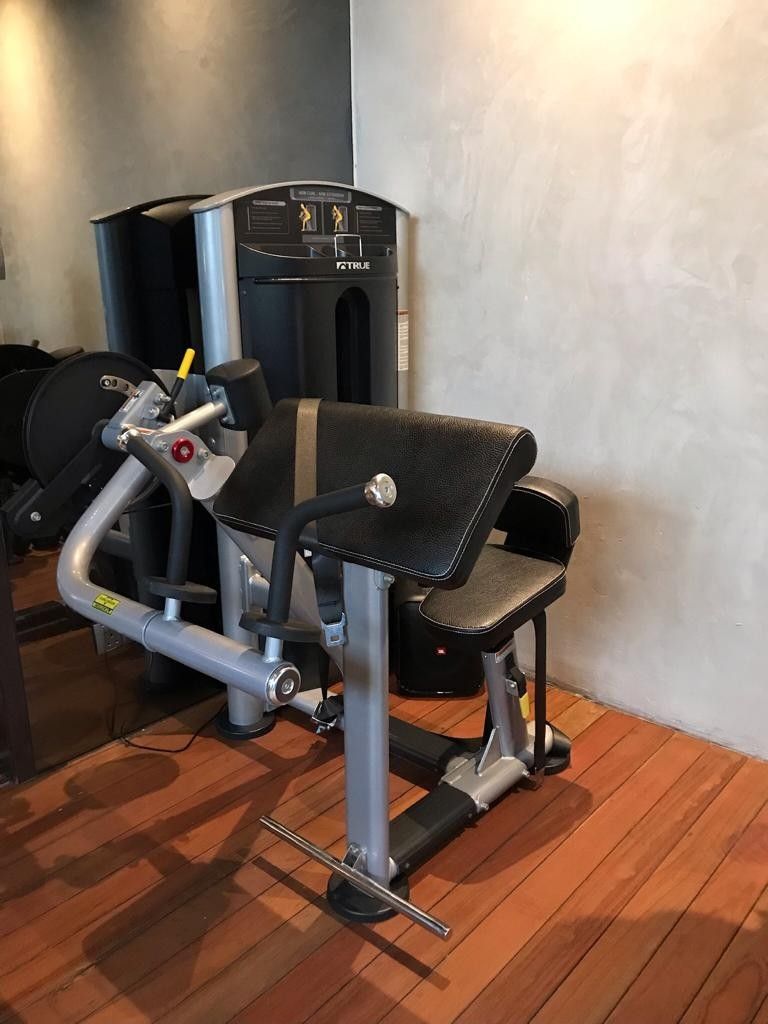 Force Biceps/ Triceps, Sports Equipment, Exercise & Fitness, Cardio ...