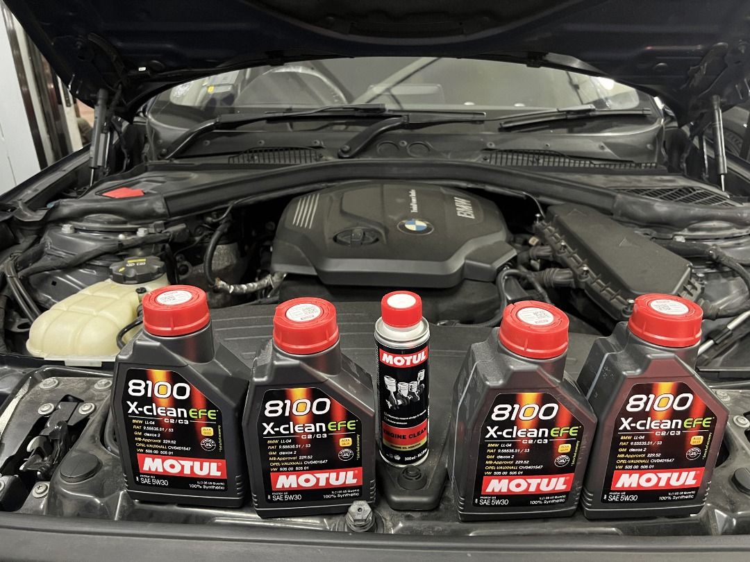 FREE LABOUR SERVICE Motul 8100 X-Cess 5w40,5w30 X-clean EFE, Car ...