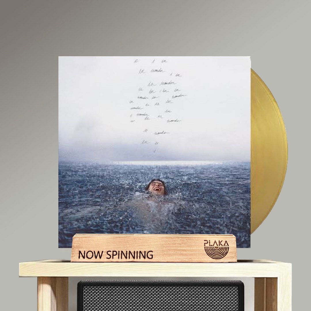 Shawn Mendes - Wonder Vinyl LP Plaka on Carousell