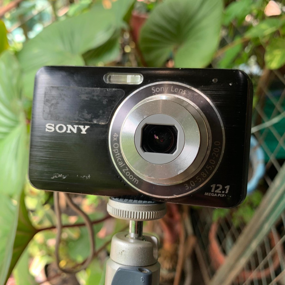 SONY 12.1 MP DIGITAL CAMERA DSC-W310, Photography, Cameras on Carousell