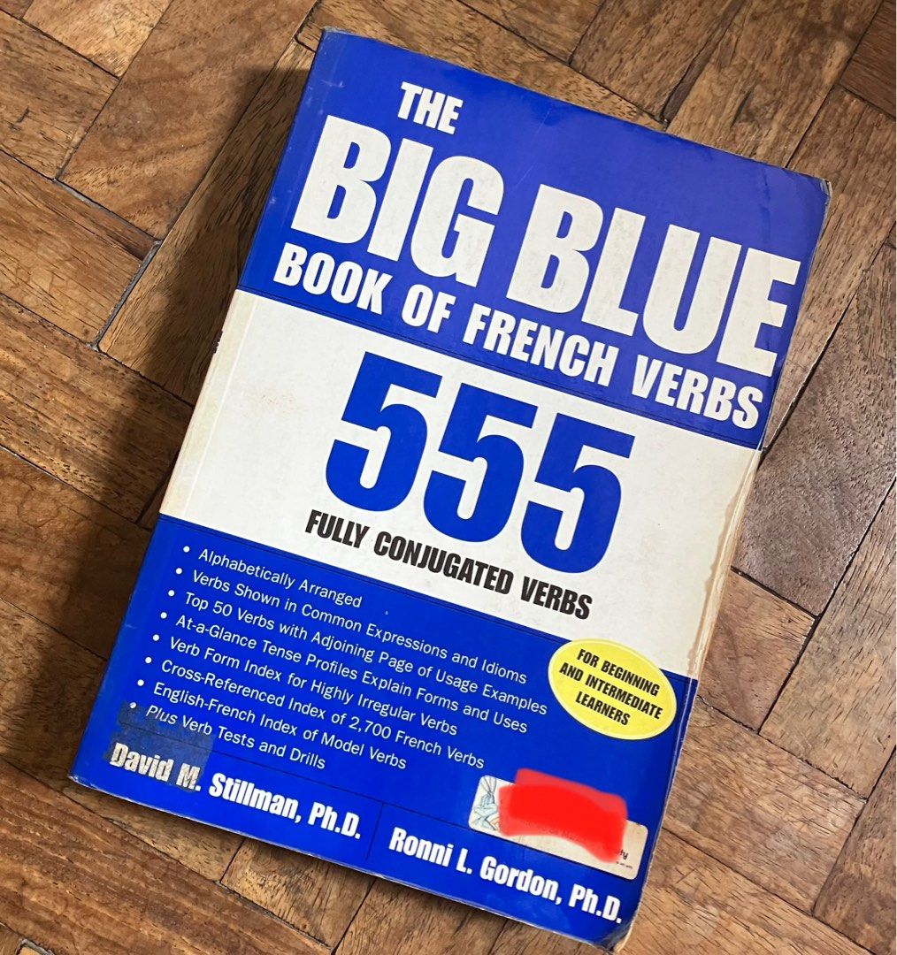 THE BIG BLUE BOOK OF FRENCH VERBS 555 FULLY CONJUGATED VERBS, Hobbies ...