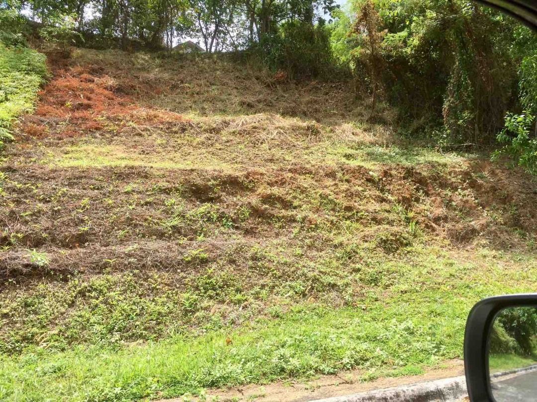 Timberland Heights Banyan Ridge, Property, For Sale, Lot on Carousell