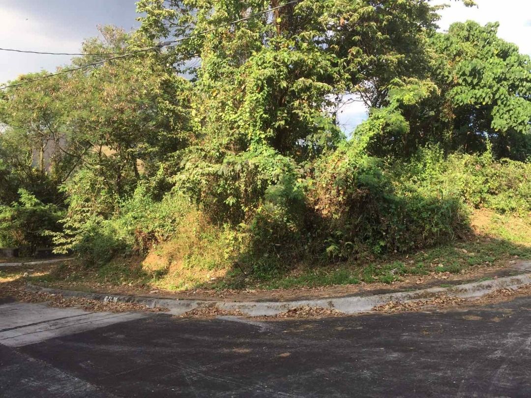 Timberland Heights Banyan Ridge, Property, For Sale, Lot on Carousell