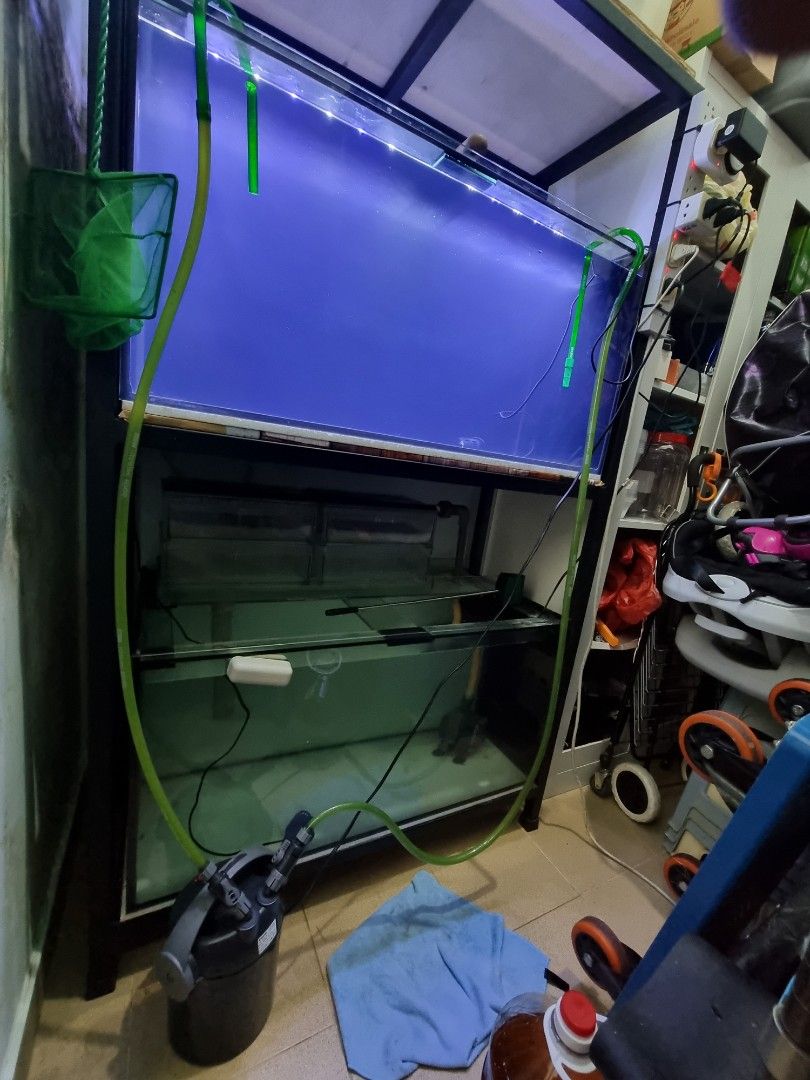 3ft 3tier stand with 3ftx1.5ft x2 tank, hiblow baby, x2 Eheim echo x2 ...