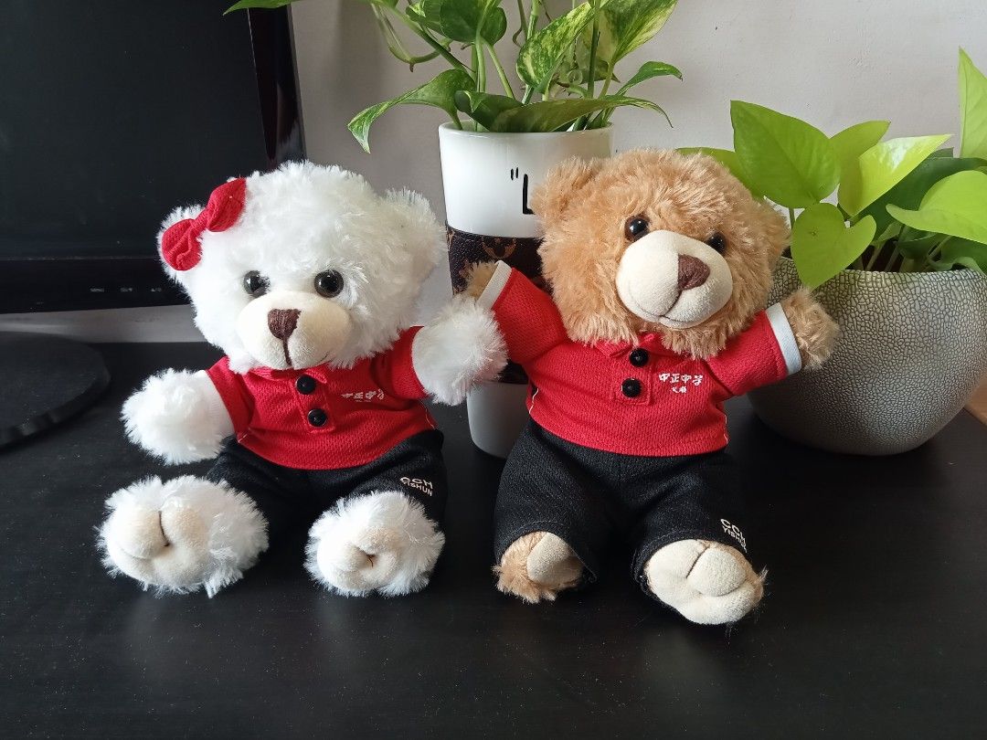 Chung Cheng High School(Yishun) graduation bears, Hobbies & Toys, Toys ...
