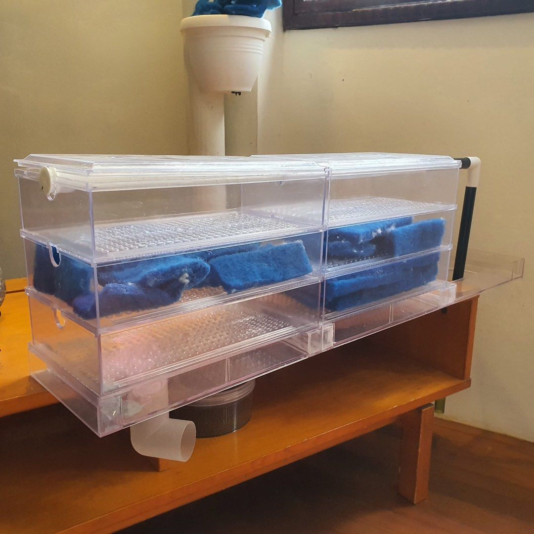 Container, Filter, Pet Supplies, Homes & Other Pet Accessories on Carousell