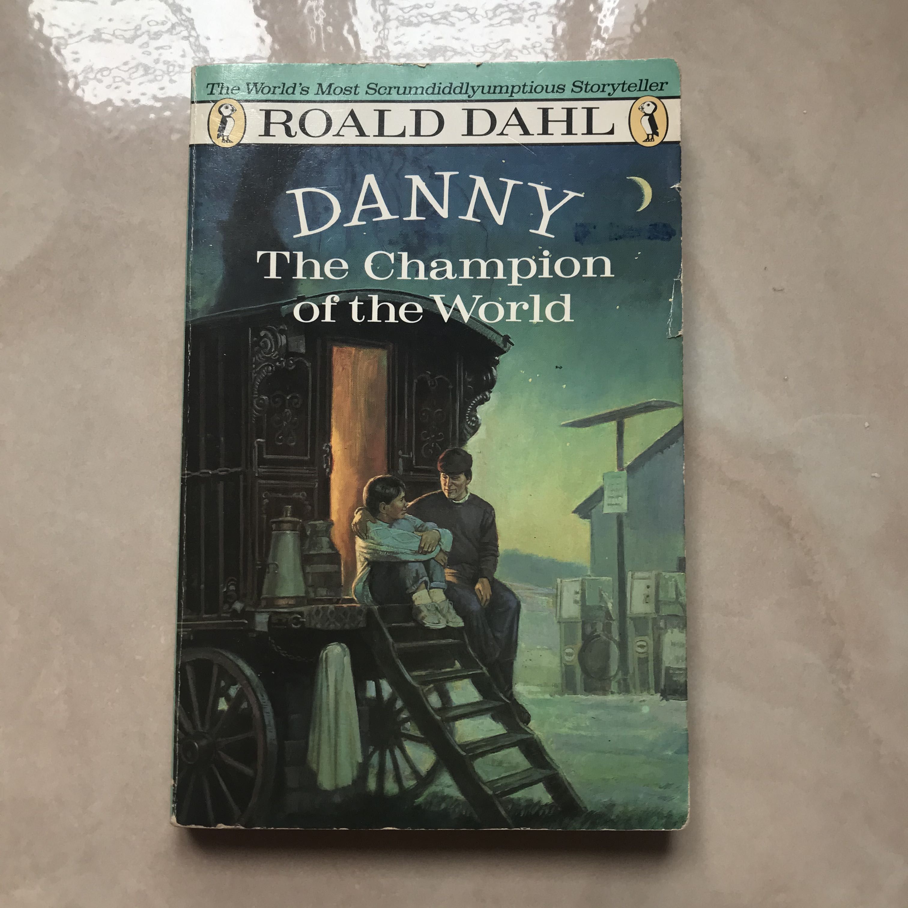 Danny The Champion of The World By Roald Dahl - 1988 Puffin Paperback ...