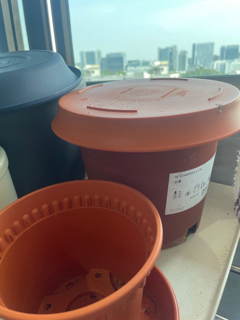 FREE Plant pots, Furniture & Home Living, Gardening, Pots & Planters on ...