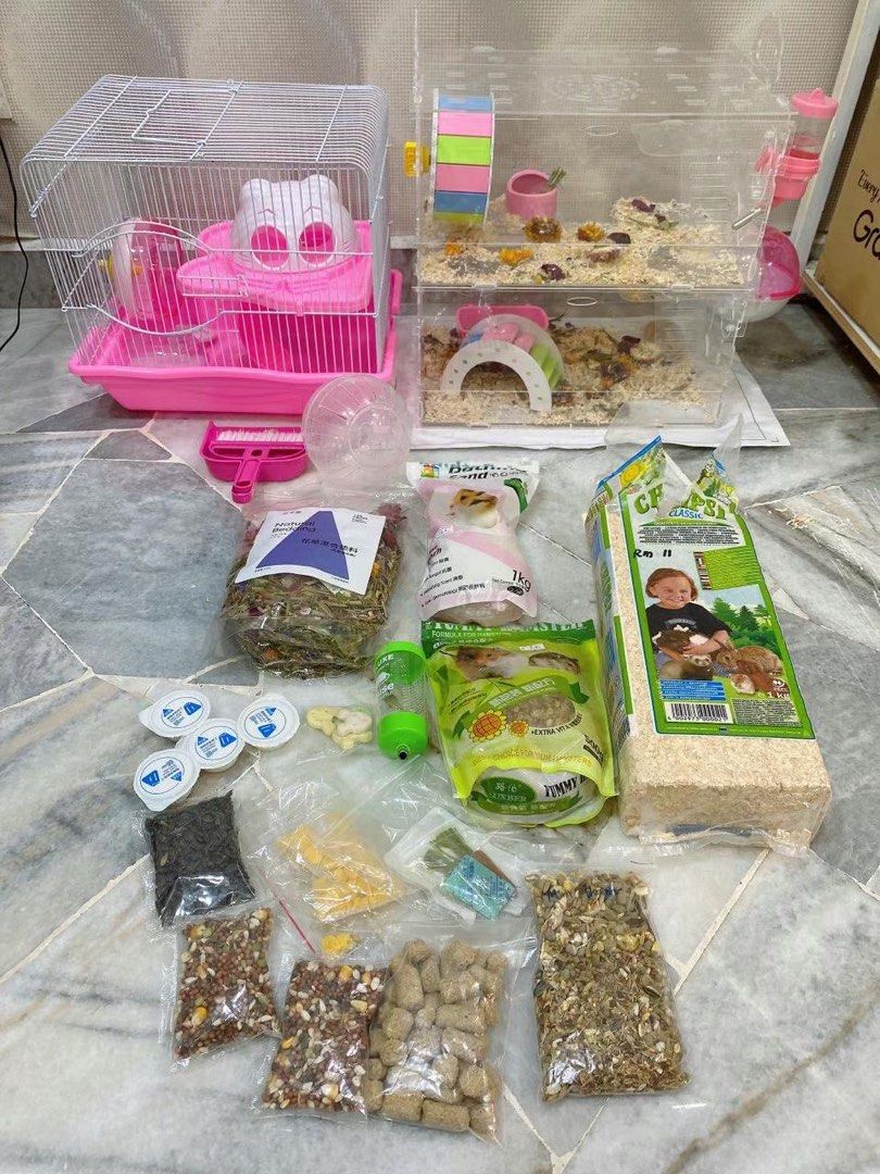 Hamster home full set, Pet Supplies, Homes & Other Pet Accessories on ...