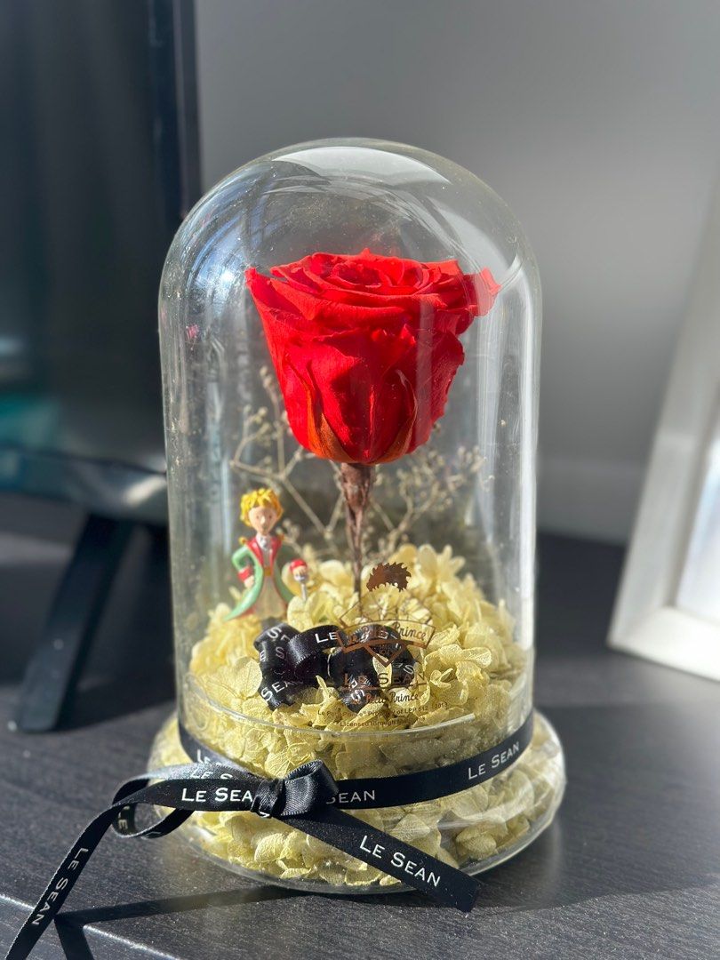 LE SEAN rose little prince, Furniture & Home Living, Home Decor ...