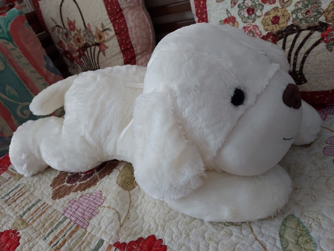 Little Cucu White Dog Soft Toy, Hobbies & Toys, Toys & Games on Carousell