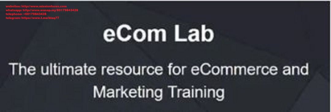 Matt Gartner - eCom Lab (Total size: 3.54 GB Contains: 8 folders 33 files), Hobbies & Toys ...
