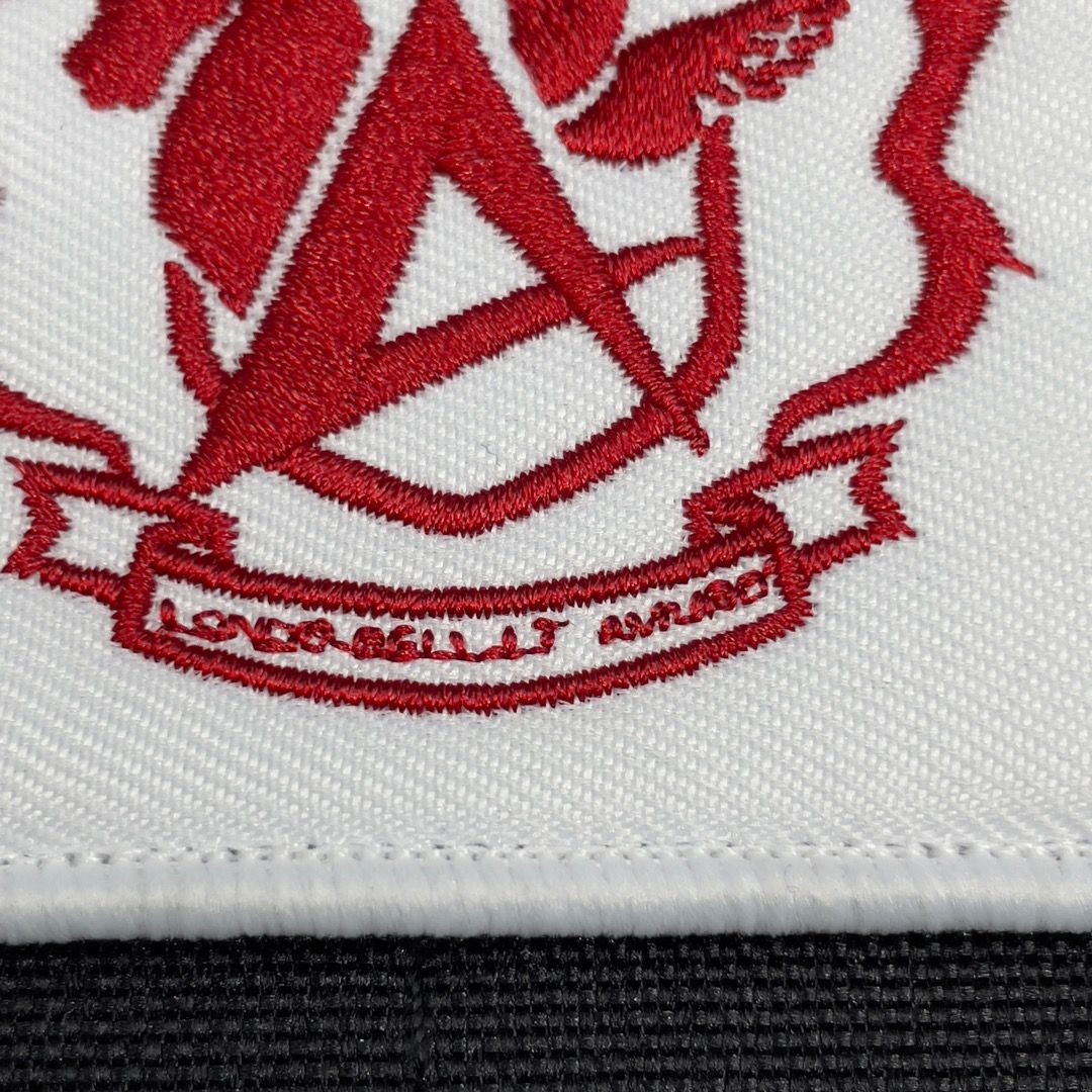 Mobile Suit GUNDAM 機動戰士 高達 Londo Bell 啊寶 LOGO 魔術貼 布章 士氣章 金線刺繡, 興趣及遊戲 ...