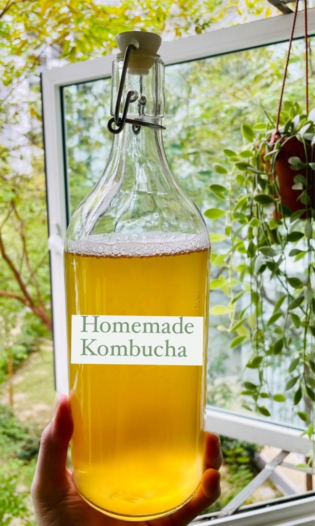 Original Kombucha (Lemon Ginger Available), Food & Drinks, Other Food ...