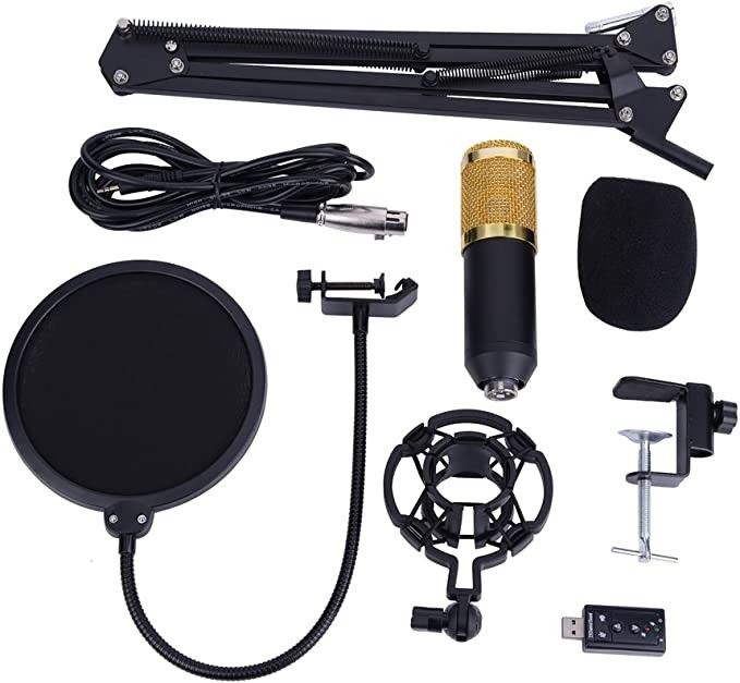 Professional Condenser Microphone, Audio, Microphones on Carousell
