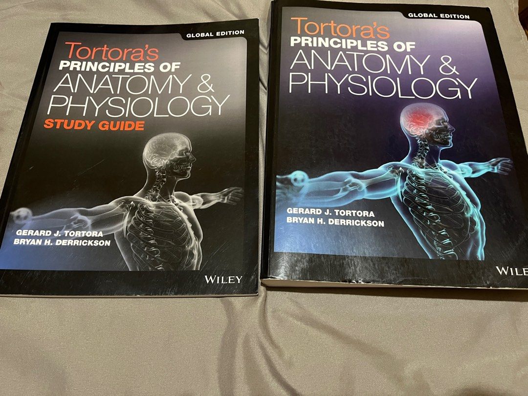 Tortora's Principles of Anatomy and Physiology, Hobbies & Toys, Books ...