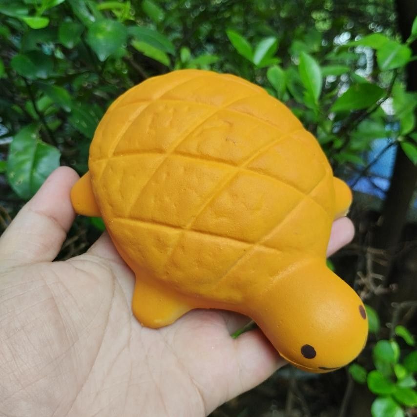 Turtle Squishy Relief Toy on Carousell