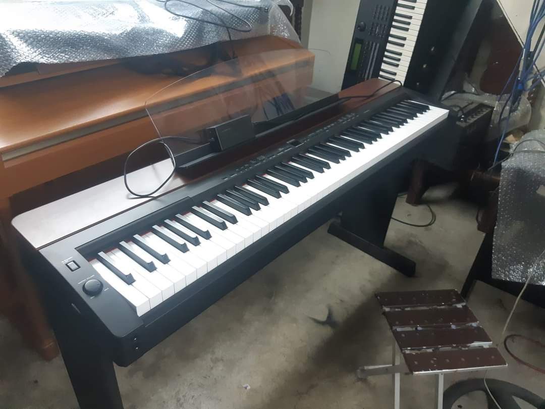 Yamaha P155 Digital Stage Piano, Hobbies & Toys, Music & Media, Musical ...