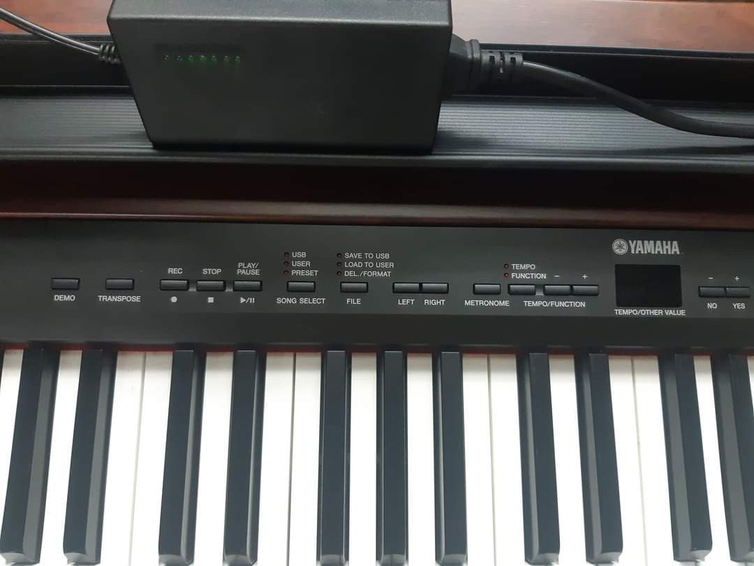 Yamaha P155 Digital Stage Piano, Hobbies & Toys, Music & Media, Musical ...