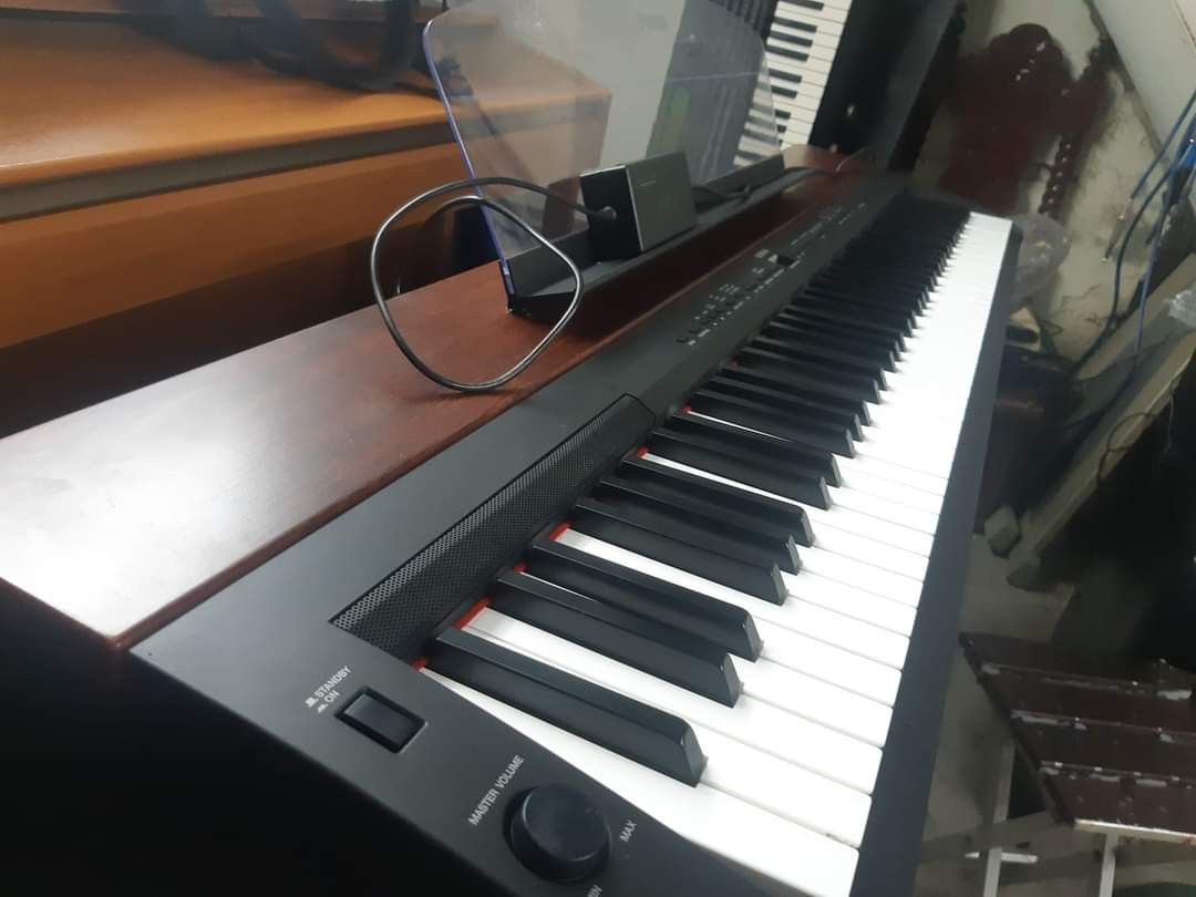 Yamaha P155 Digital Stage Piano, Hobbies & Toys, Music & Media, Musical ...